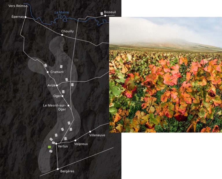 Vertus Rouge - Champagne Larmandier-Bernier